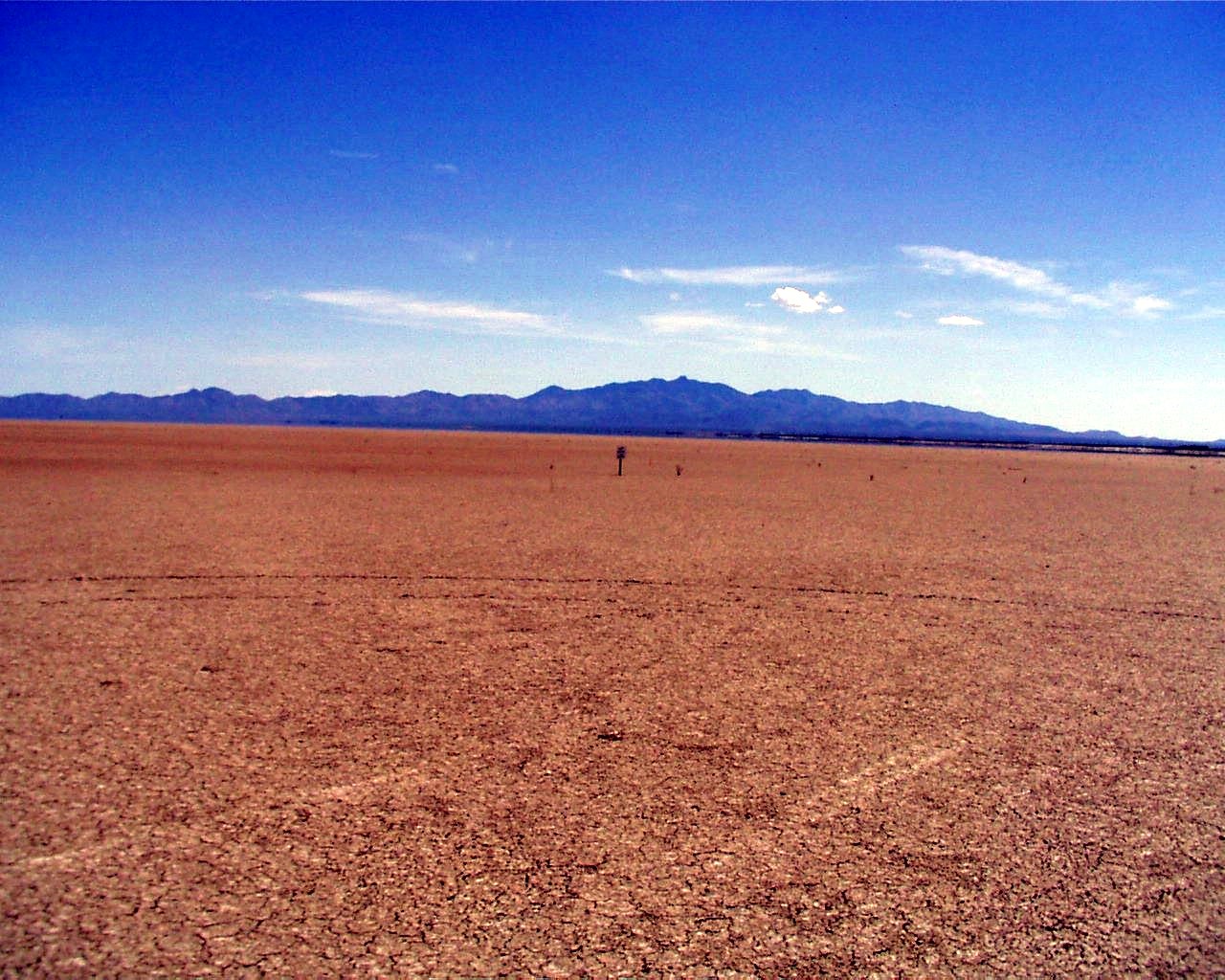 Locations Hub - Willcox Playa Wildlife Area