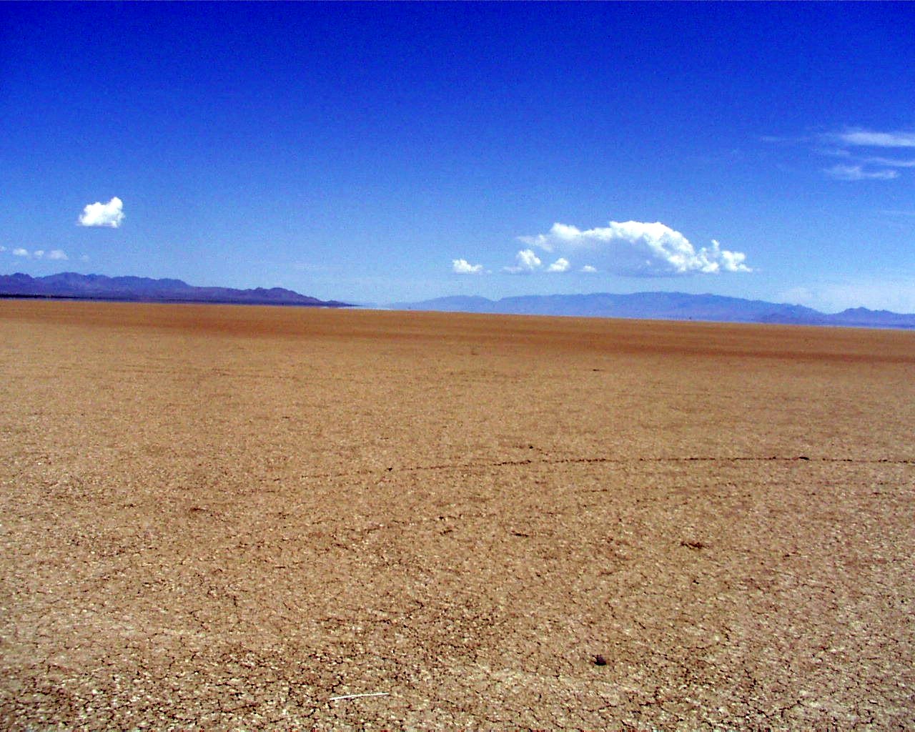 Locations Hub - Willcox Playa Wildlife Area