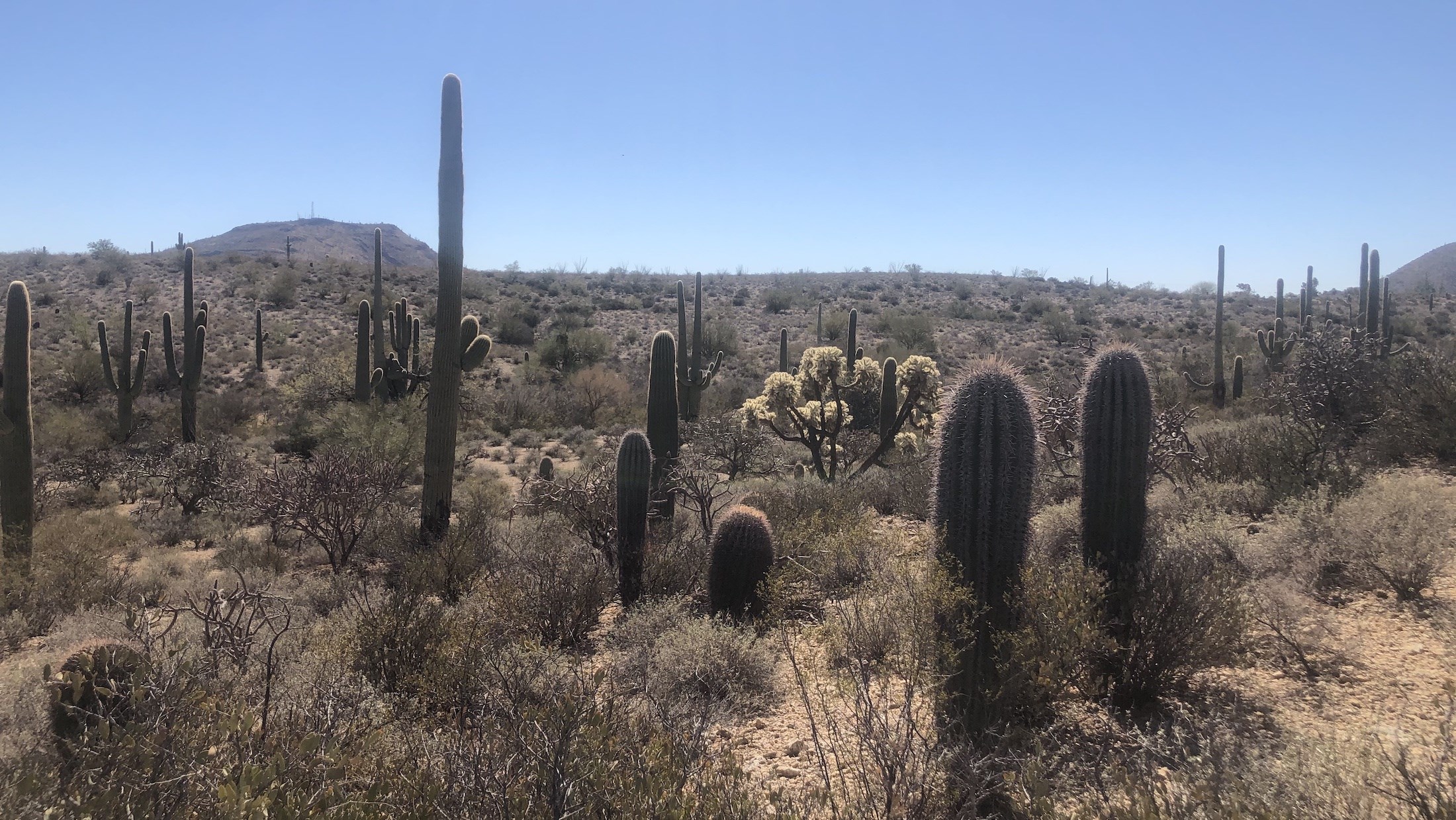 Locations Hub - Greasewood Park