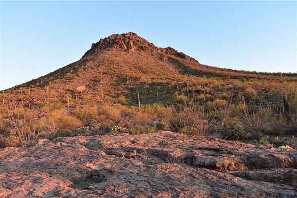 Locations Hub - Golden Gate Mountain