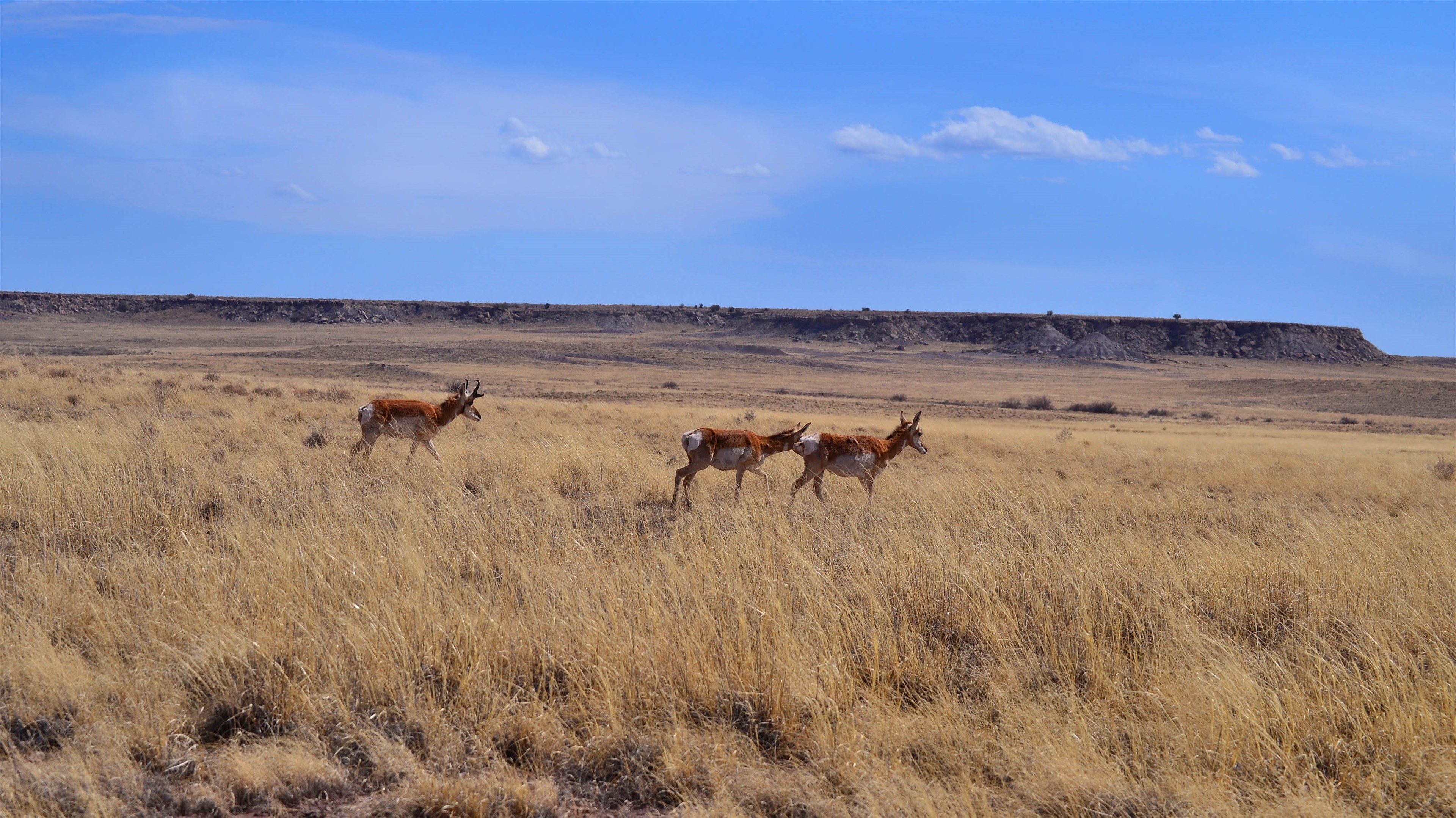 Locations Hub - Twin Buttes Ranch