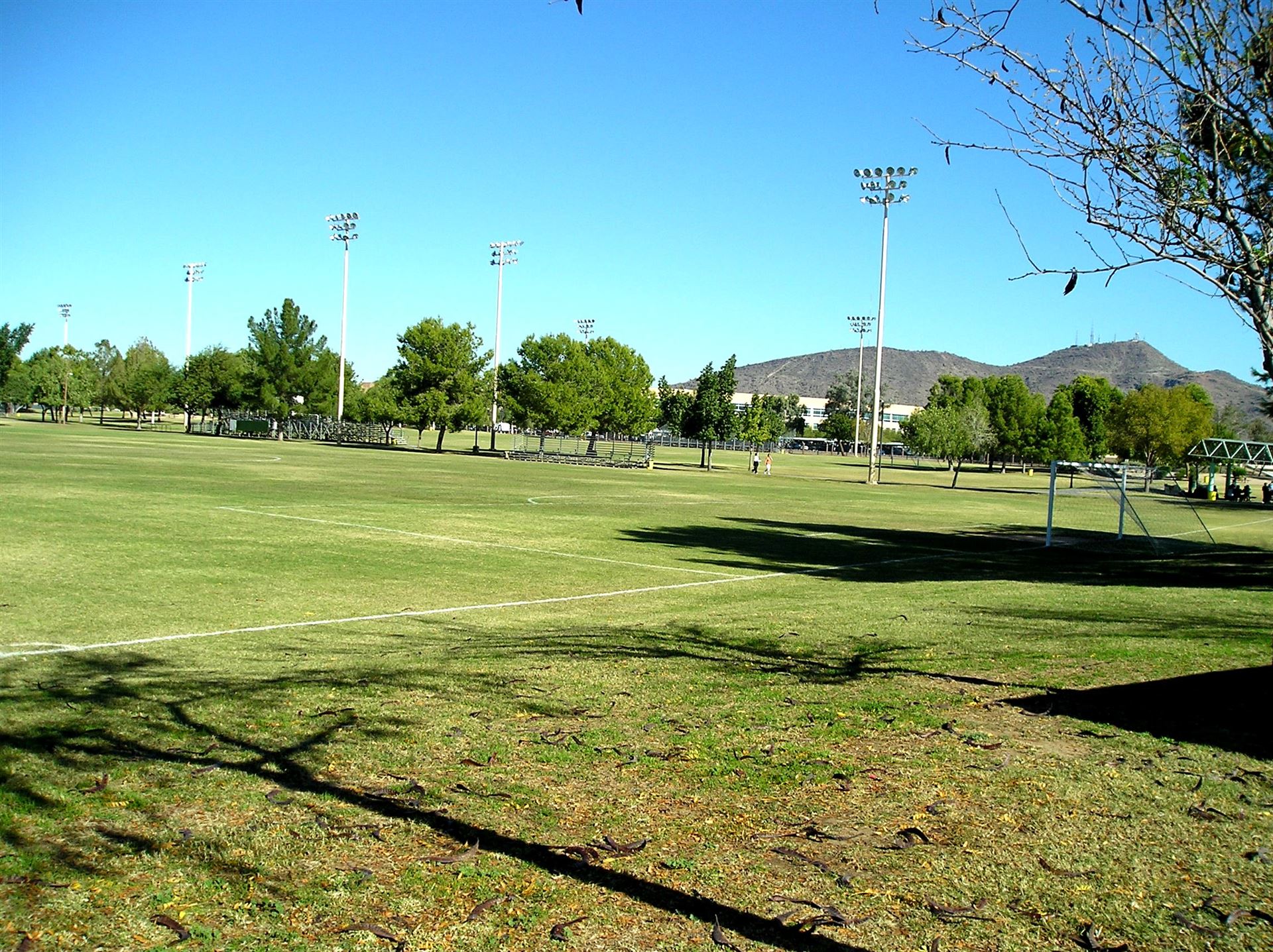 Locations Hub - Rose Mofford Sports Complex