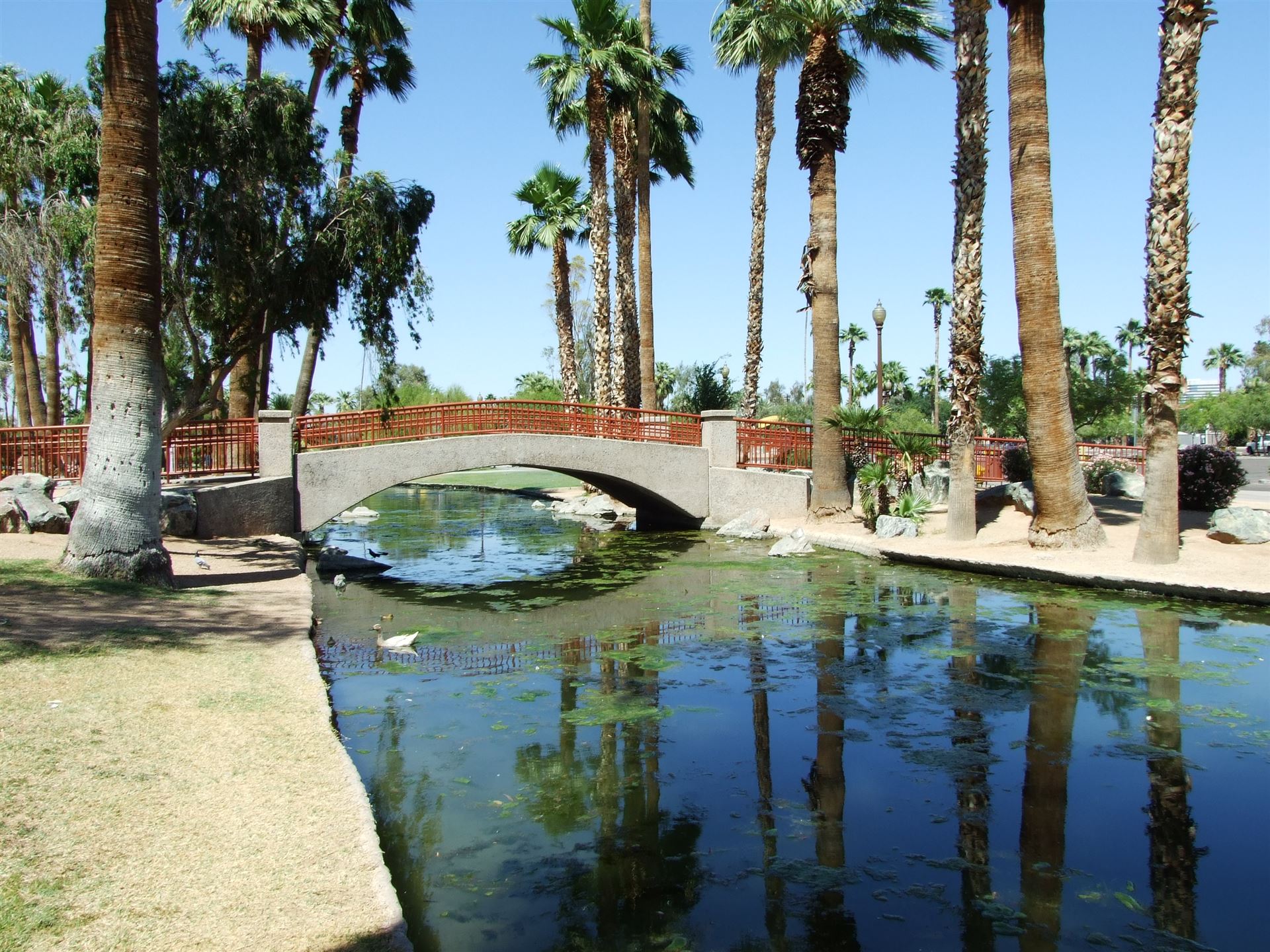 Locations Hub - Encanto Park & Sports Complex