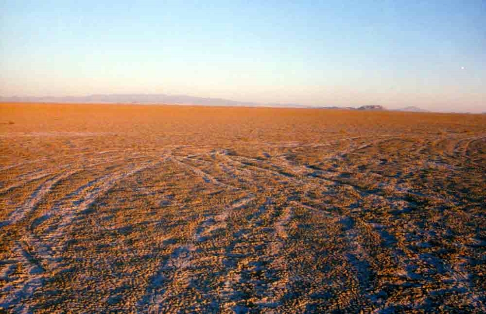 Locations Hub - Willcox Playa Wildlife Area