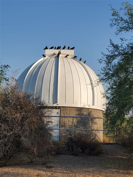 Locations Hub - Gilbert Riparian Observatory